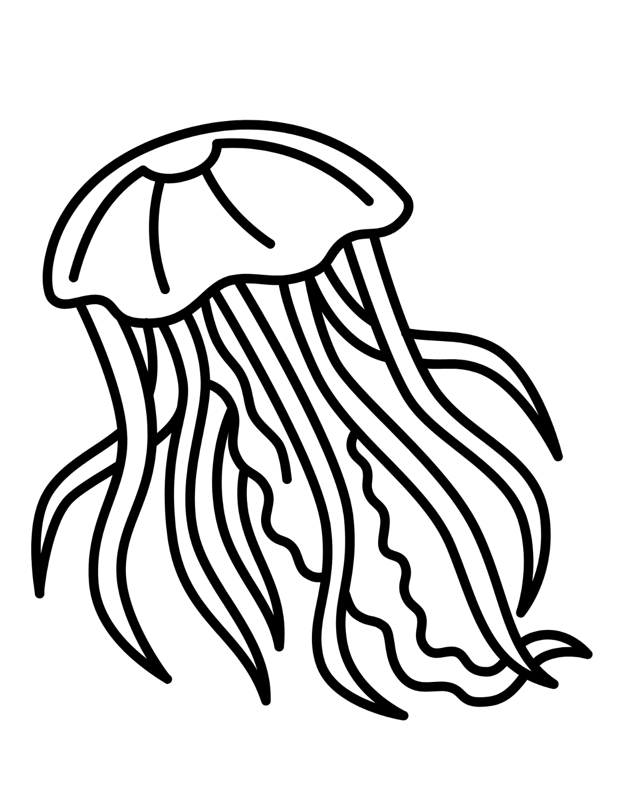 Autoaufkleber Sticker Qualle Tier Aufkleber | eBay.de