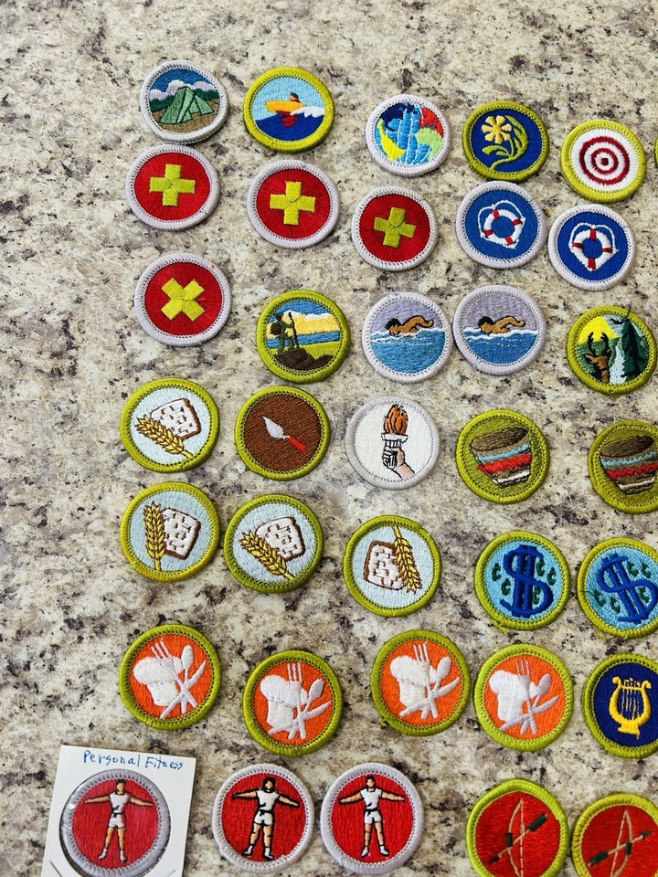 Boy Scout Lot Of 76 Class H Merit Badges 49 Different | eBay