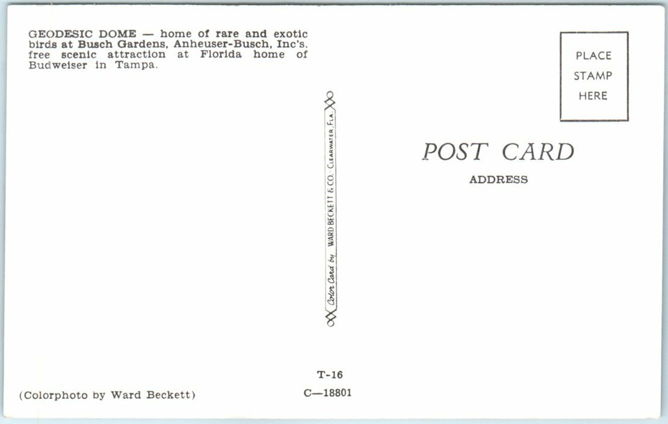 Postcard - Geodesic Dome, Tampa, Florida | eBay UK