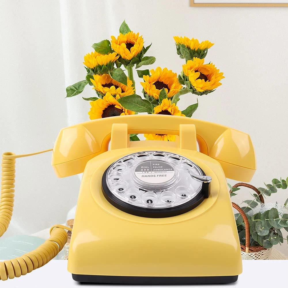 Traditional Old Phone