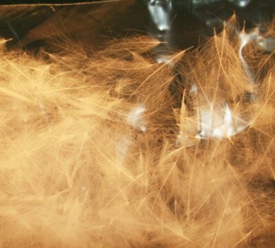 Fly Tying Materials - Cdc Feathers