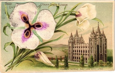 Utah State Flower Sego Lily Made in Fabric Postcard Posted 1917 | eBay