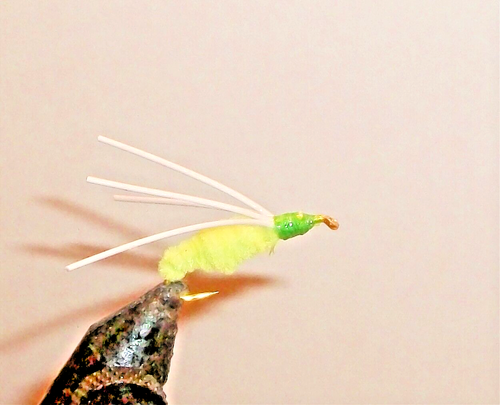 6 Chartreuse Bully Bluegill Spiders - weighted #10 Hook - Round Rubber legs | eBay