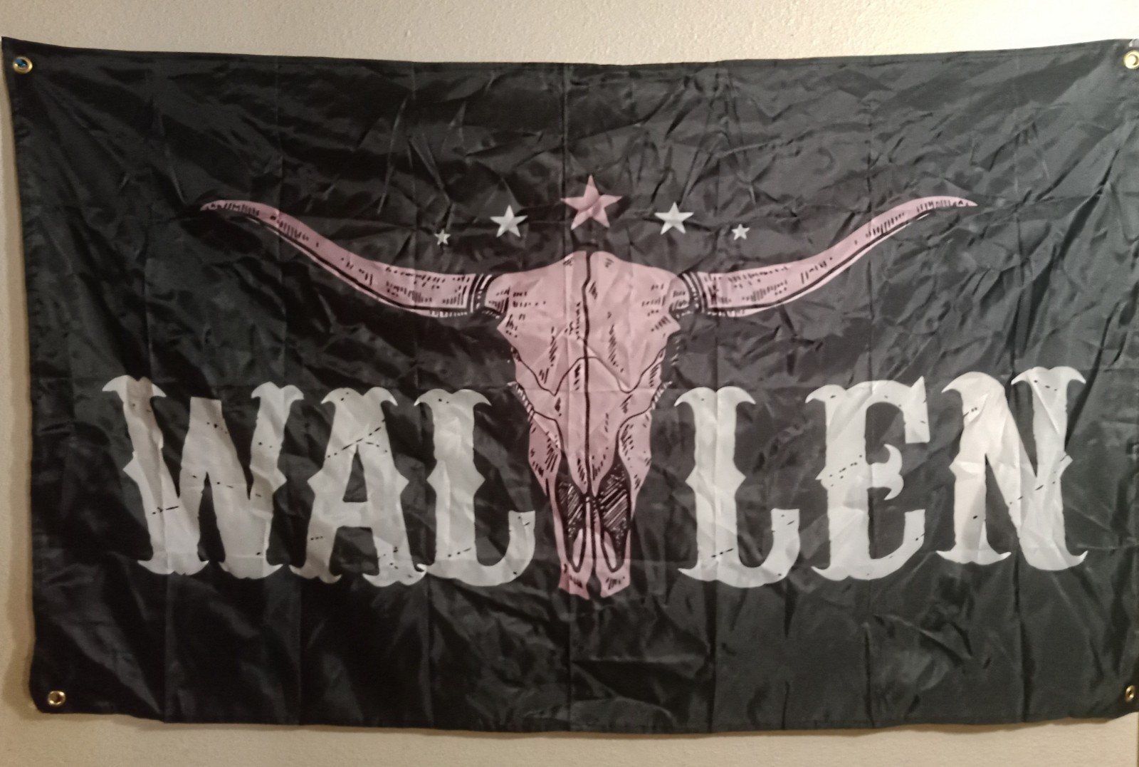 Morgan Wallen Fabric Tapestry Poster Flag cow skull logo country 36x58 ...