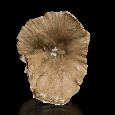 Ulexite "Clamshell" West Baker Mine, Boron, Kern County, California ...