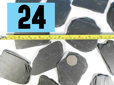 24x New NATURAL Flat SLATE Rock Gravel Pieces AQUARIUM or VIVARIUM ...