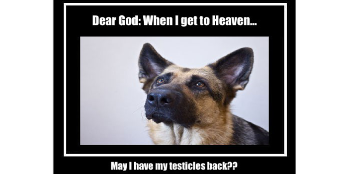MILITARY MEP-002A 5KW 60HZ DIESEL GENERATOR W/TRAILER 120-240 1PH & 208 ...