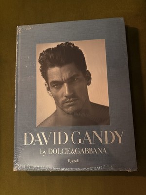 DAVID GANDY Dolce & Gabbana Peter Howarth Rizzoli HARDBACK book. Rare ...