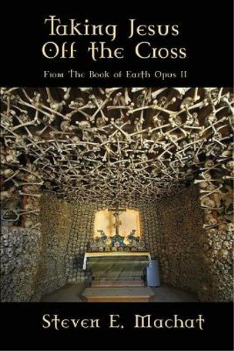 Steven Machat Taking Jesus Off the Cross (Poche) 9781637959855 | eBay