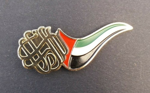 EMIRATES? ETIHAD? AIRLINE BADGE/PIN | eBay