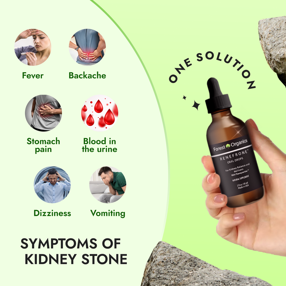 Kidney Health Support Supplement Kidney Detox Drops & Support Kidney ...