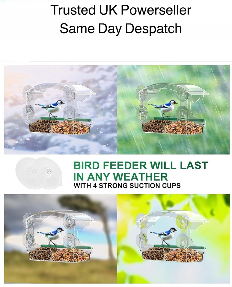 Clear Mounted Window Bird Feeder Perspex Feeding Seeds & Nuts Garden ...