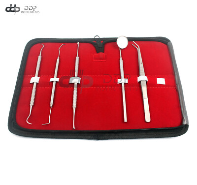 Dental 5pcs Scaler Oral Hygeine Tools Deep Cleaning Professional Set ...