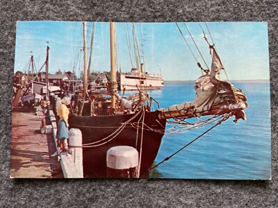 Steamer Nantucket at Woods Hole on Cape Cod, Mass. Vintage Postcard | eBay