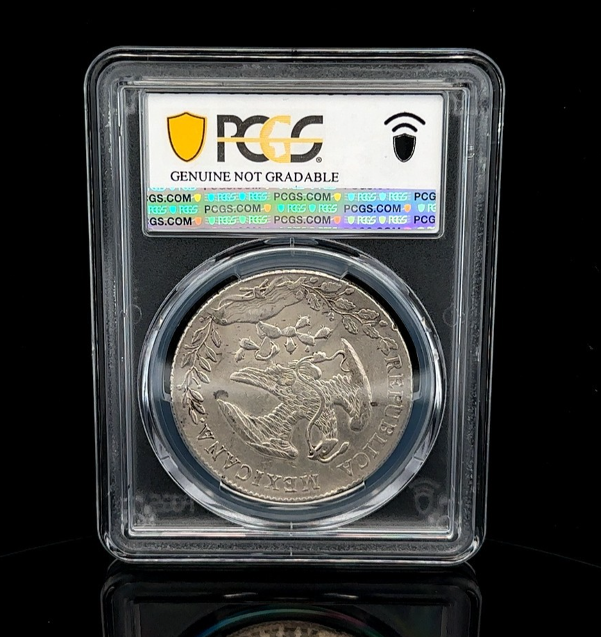 1894-Ca MM 8 Reales Mexico PCGS Genuine Chop Mark - AU Detail | eBay