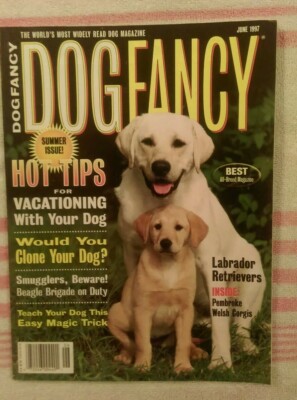Dog Fancy magazine LABRADOR RETRIEVER June 1997 EXCELLENT CONDITION | eBay