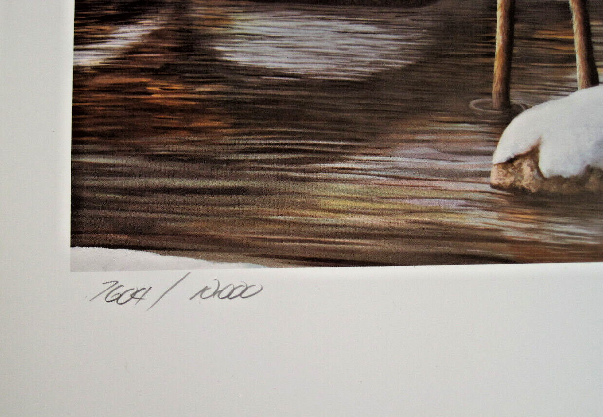 River Bottom Buck - Deer Print by Jim Hansel - Signed & Numbered | eBay