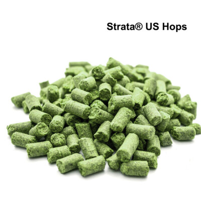 500g Strata Hops T90 Pellet Hops US IPA Sour Stout Sour Amber Home Brew ...