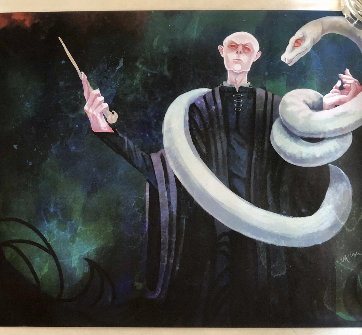Voldemort Painting