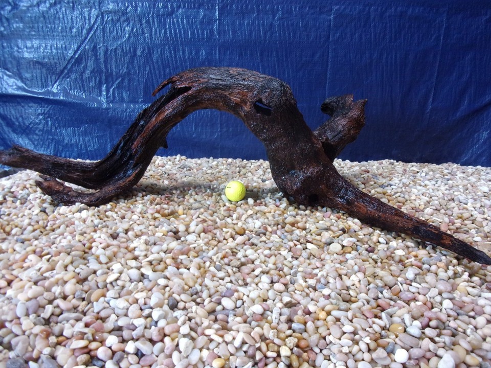XX-Large Driftwood 11"x31"x21" Aquarium Terrarium Reptile Natural Art ...