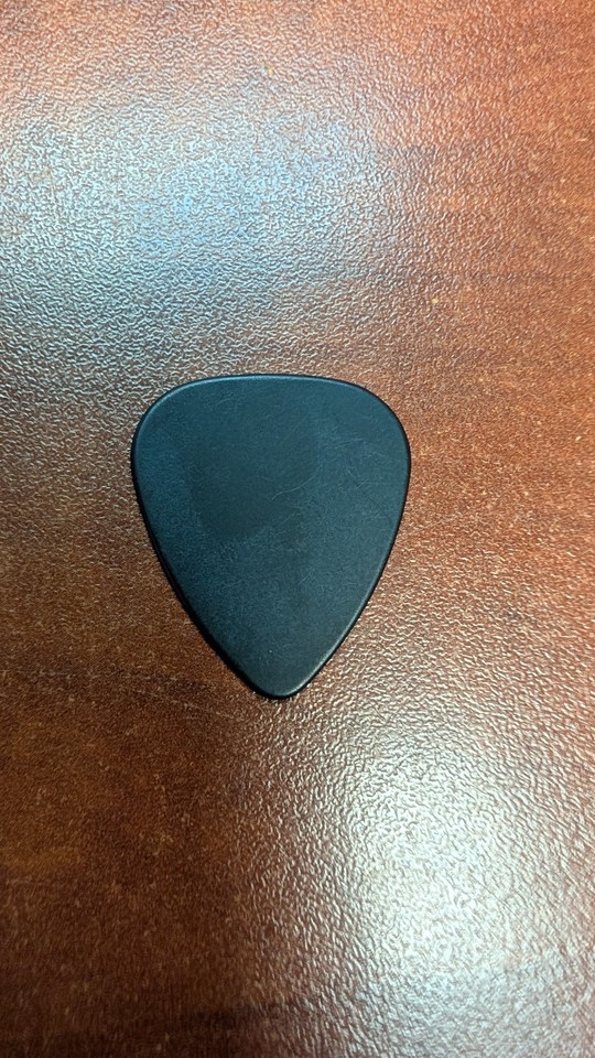 The Warning Dany And Alejandra Villarreal Black Error Guitar Pick | eBay UK
