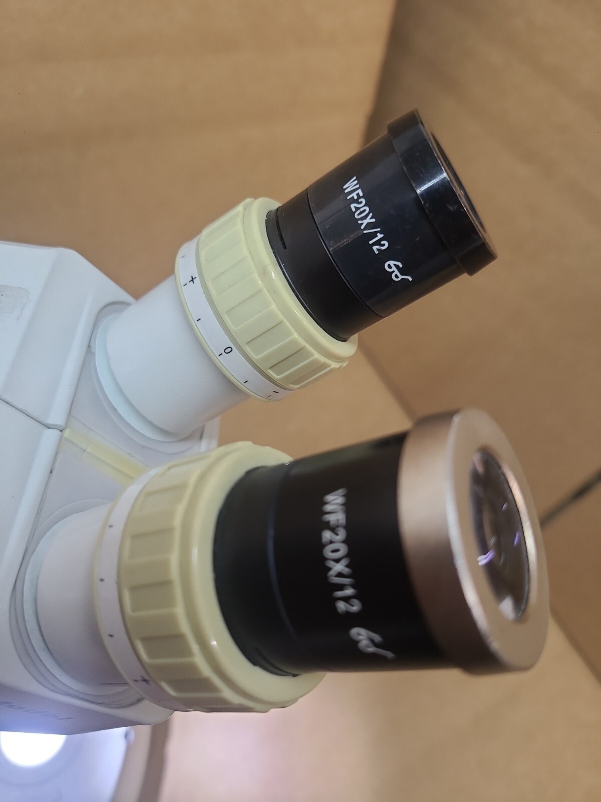 Scienscope SSZ Stereo Zoom Binocular Microscope with 2 WF20x/12 ...