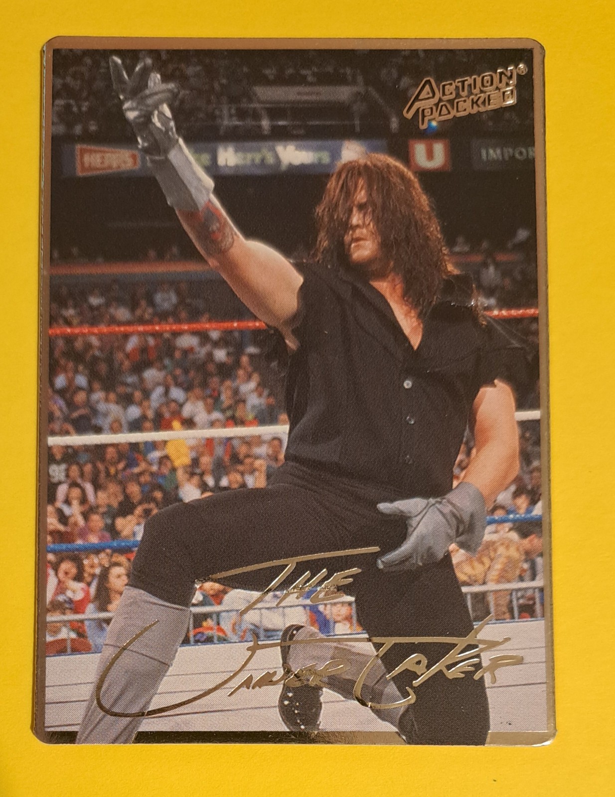 1994 WWF Action Packed UNDERTAKER promo PROTOTYPE #2 WWE Wrestling Card ...