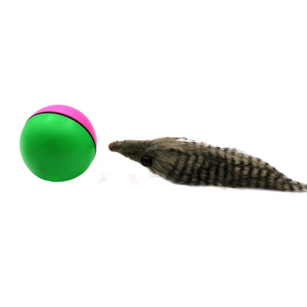Chaser Pet Product Rolling Ball Jumping Weasel Motorized Operation ...