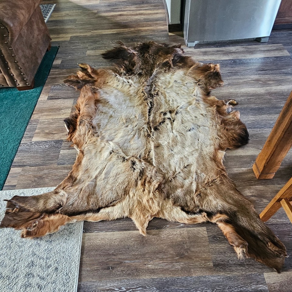 Elk hides from Montana.Real leather. | eBay