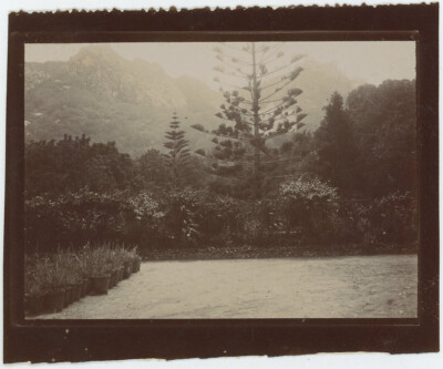 Palácio Da Pena Path. Sintra. Cintra. Portugal. Citrate Print Circa ...