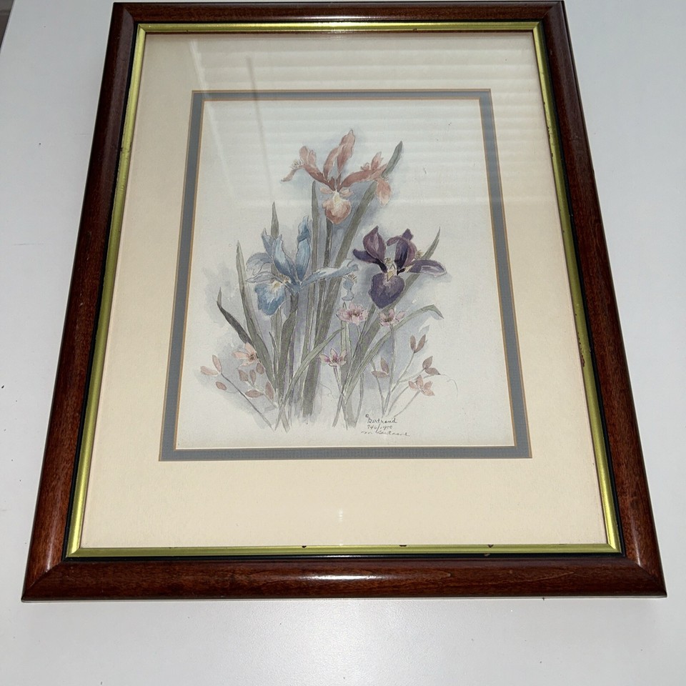 Mary Vincent Bertrand Signed Floral Lithograph Gold Framed 13” x 16 ...