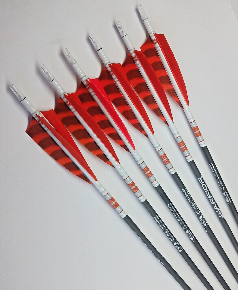 Goldtip warriors arrows for Traditional archery | eBay