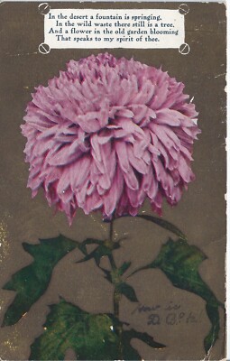 Old Vintage A Flower in the Old Garden Blooming Message Postcard | eBay