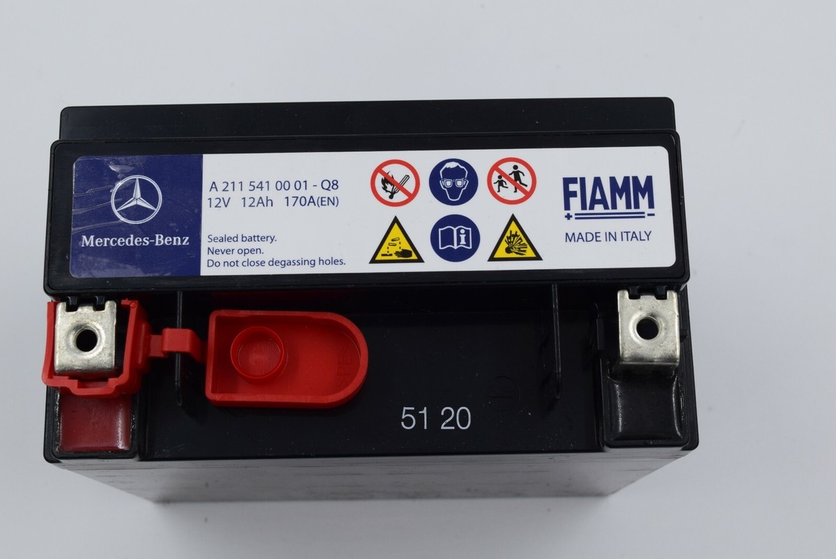 Viva Jobangebot Oberleitungsbus backup batterie funktion Evolution Löwe ...