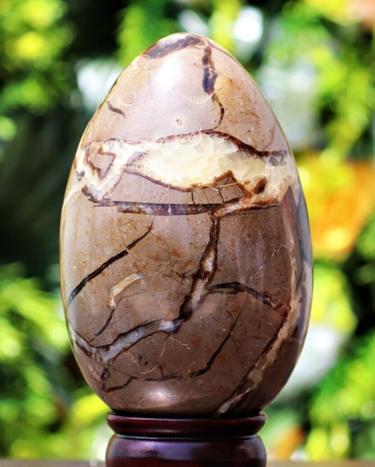 135MM Yellow Septarian Egg Septaria Septeyre Chakra Crystal Healing Gemstone Egg | eBay