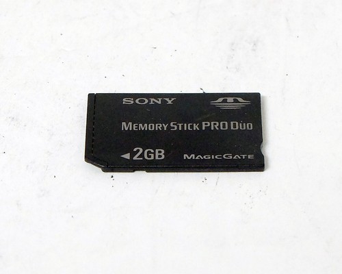 Sony 2GB 2 GB Memory Stick Pro Duo MagicGate Card Used | eBay