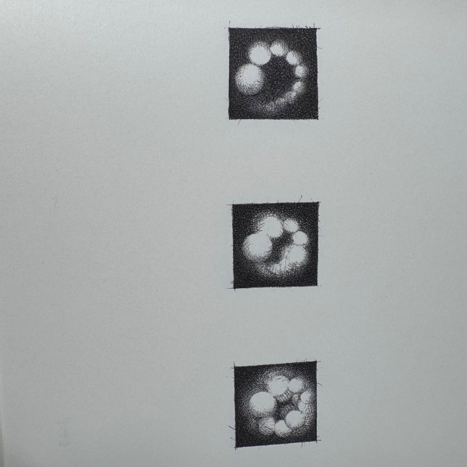 Christine Taylor Patten Micros Art Book 1999 Stinehour Press 1st ...