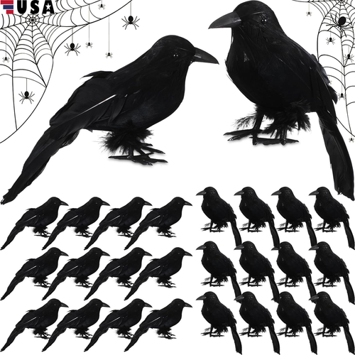 6Pcs Black Lifesize Raven Movie Prop Fake Crow Halloween Hunting Decor ...