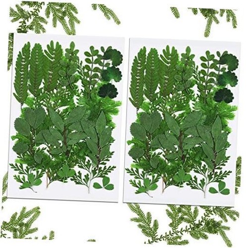 42 Pieces Dried Pressed Leaves for Resin Real Assorted Dried Greenery ...
