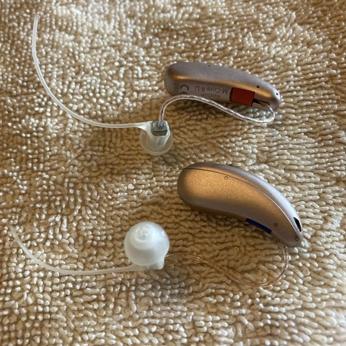 Rexton M-Core R-LI Hearing Aids Pair With Charging Case Rarely Used ...