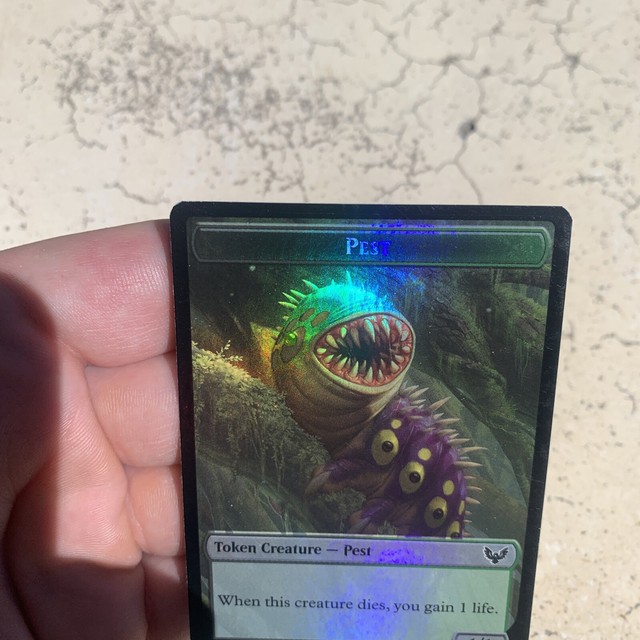 MTG Pest Token // Spirit Token Strixhaven: School of Mages 005/009 ...