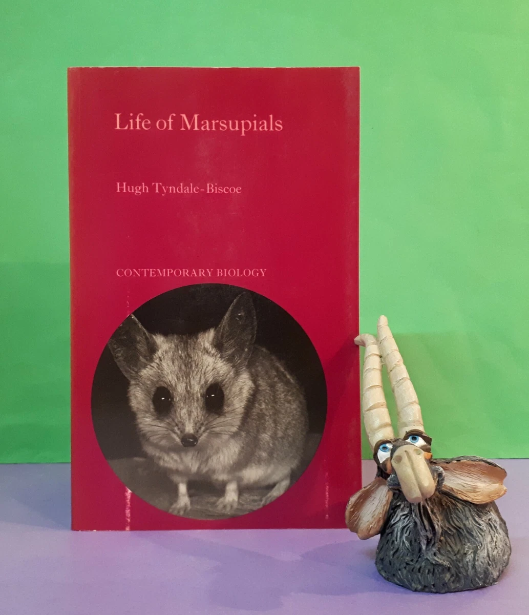 Marsupials Of Life