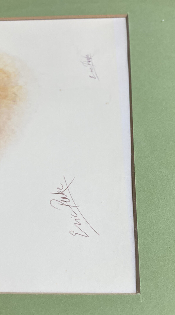 RARE Blue & Yellow Macaw Bird Signed Framed Art Print Artist Eric Peake ...