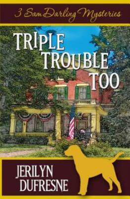 Triple Trouble Too: Sam Darling Mystery Series Box Set: Books 4 - 6 ...
