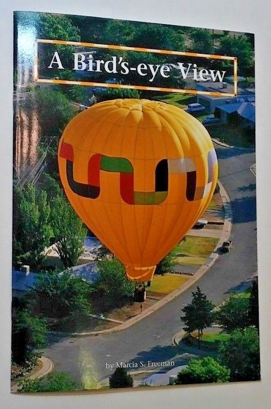 A Bird's-eye View! Maps Geography Shared Reading Teacher Big Book Grade ...