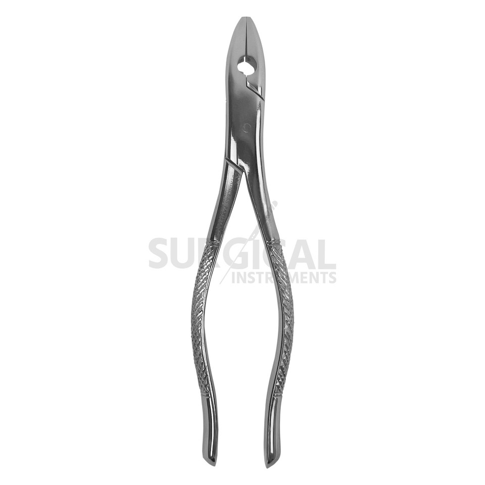 Extracting Forceps Dental Surgical Instruments #99C Stainless German ...