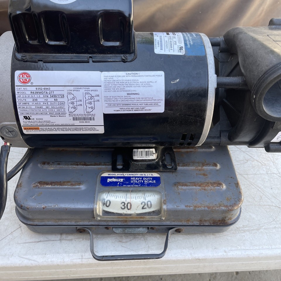 Aqua-Flo Gecko XP2 2.5 HP 230 Volts 2 Speed Hot Tub Jet Pump. Working ...
