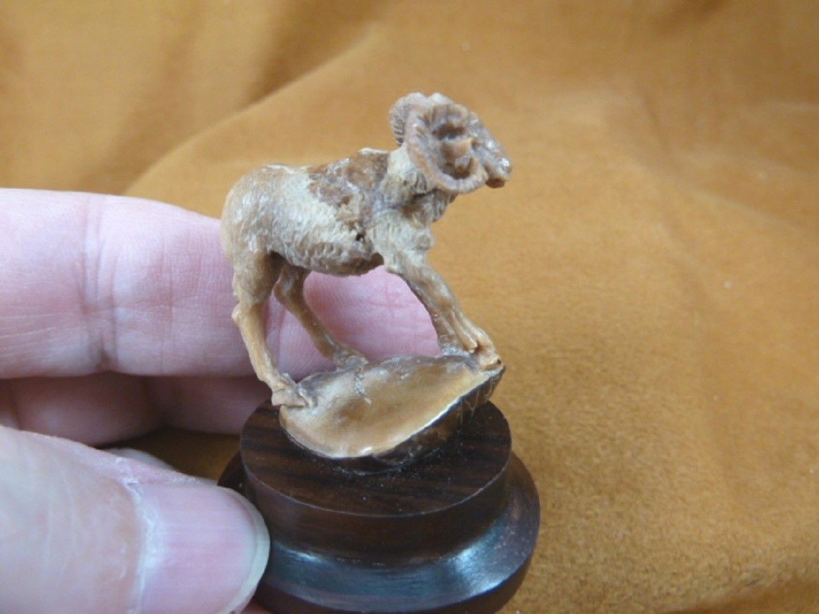 TB-RAM-5) bighorn Ram Mountain sheep tagua nut figurine Bali detailed ...