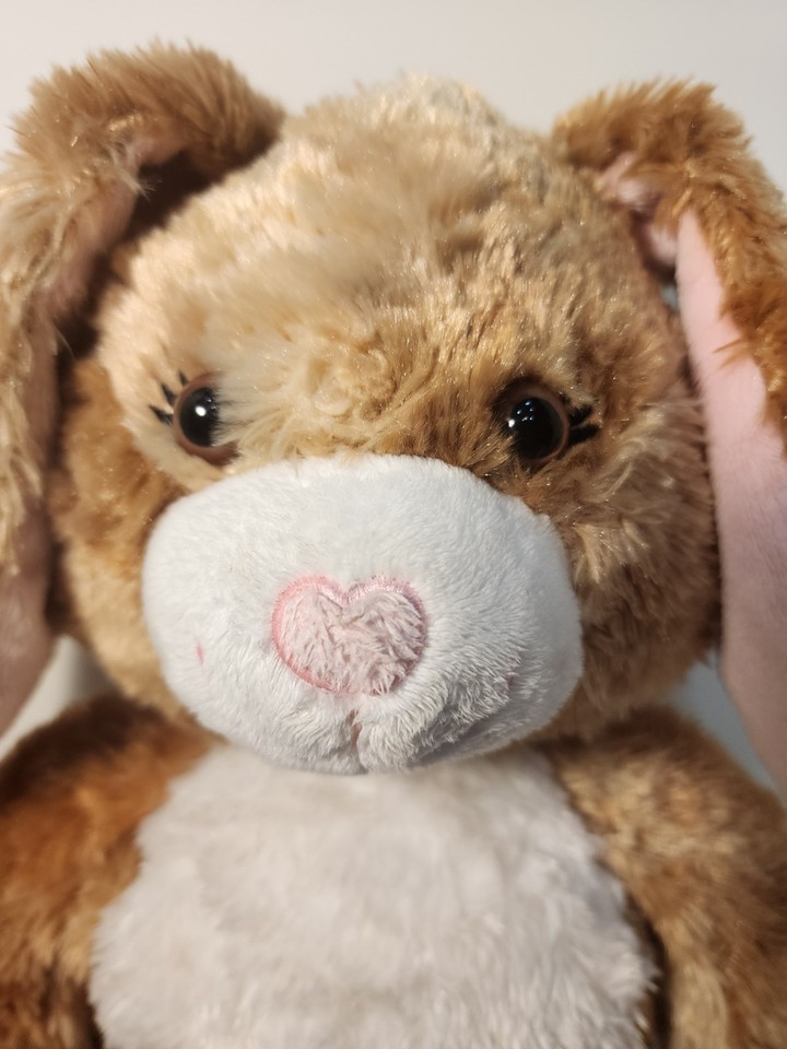 Build A Bear Brown Easter Bunny with Floppy Ears with "I Love You ...