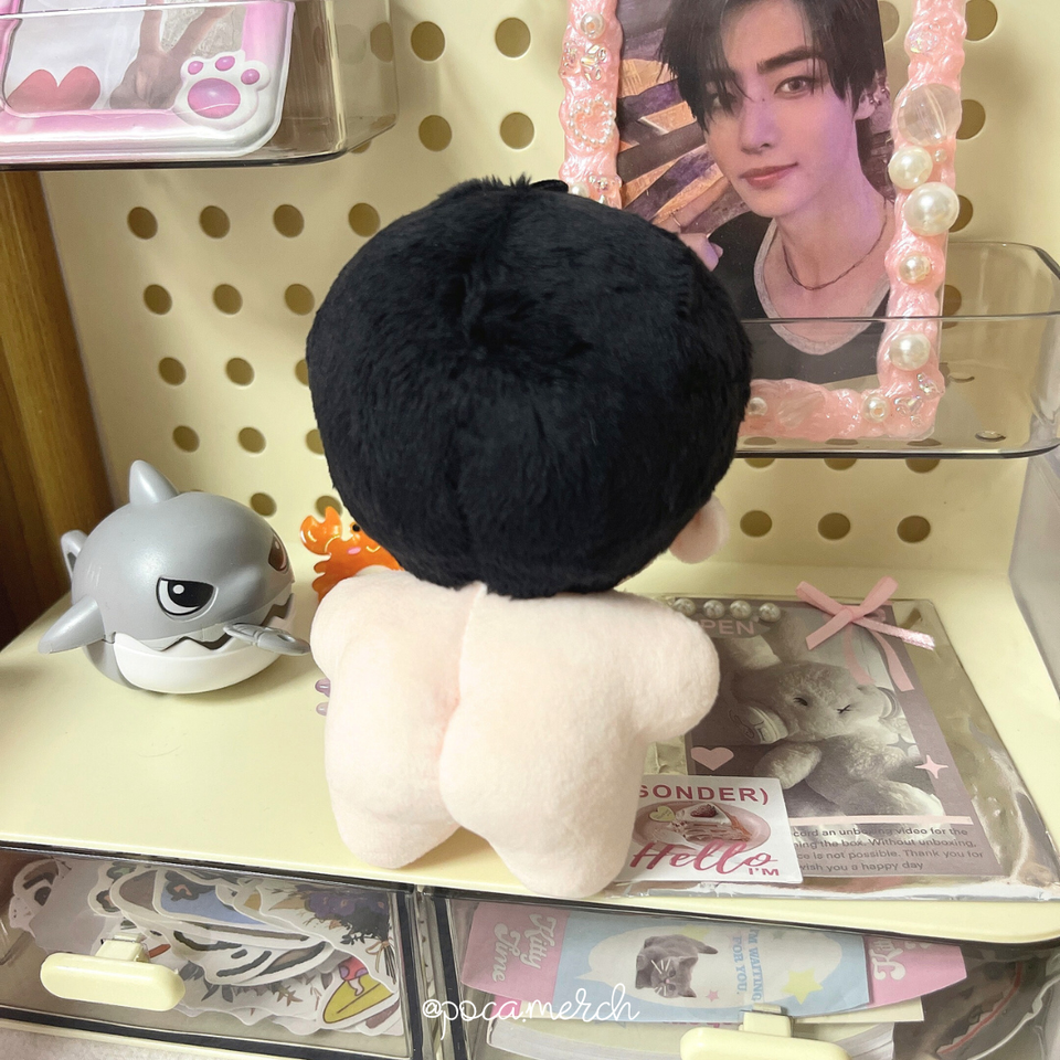ENHYPEN MINI DOLL 10cm PLUSH TOY Sunghoon Jake Jungwon Jay ENGENE ...